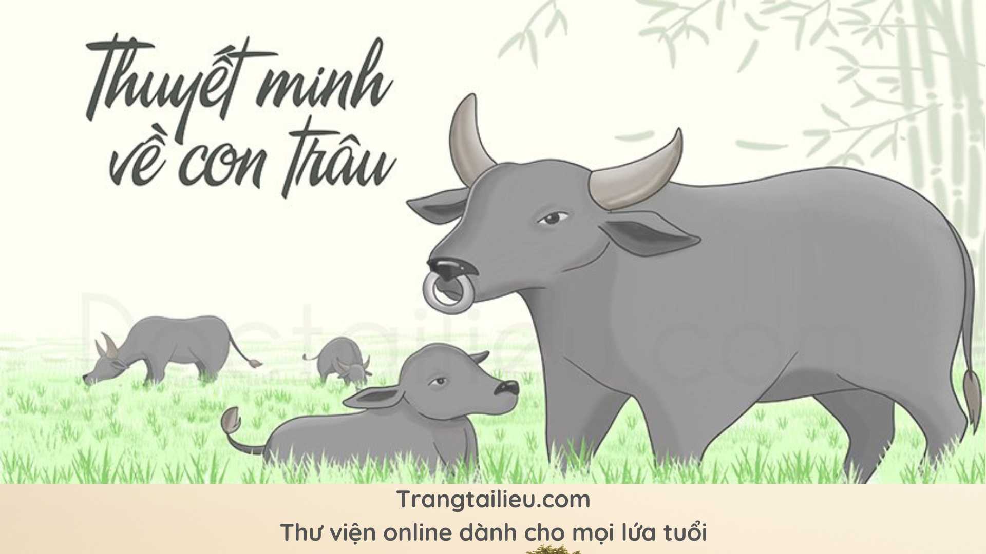 10 bài thuyết minh về con trâu ở làng quê Việt Nam hay nhất