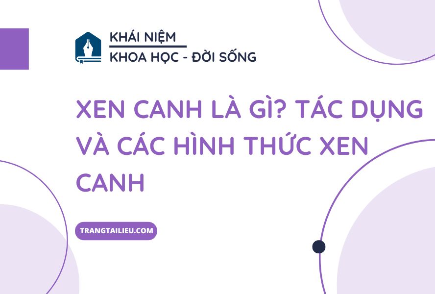 Xen canh là gì? Tác dụng và các hình thức xen canh