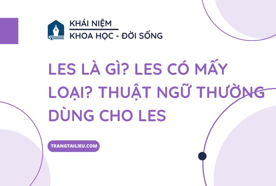 Les là gì? Les có mấy loại? Thuật ngữ thường dùng cho Les