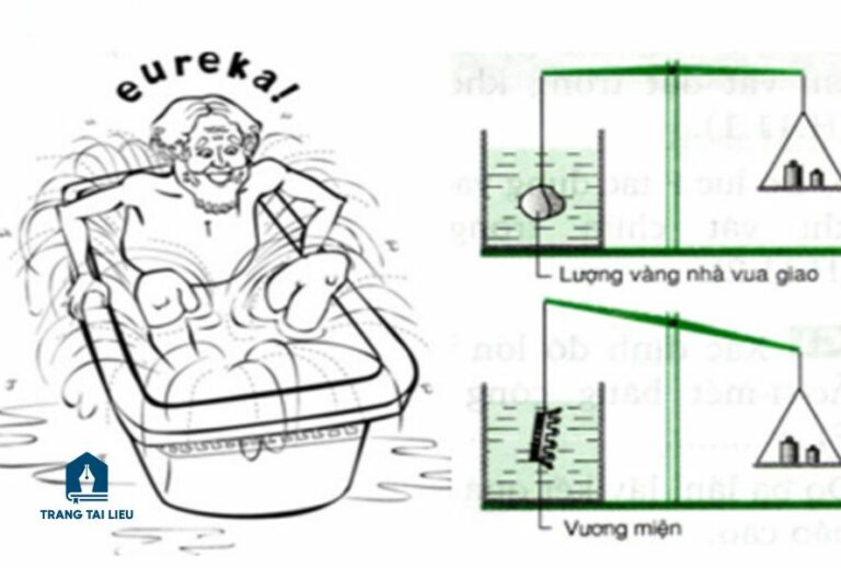 Lực đẩy acsimet: Định nghĩa, Công thức, Ứng dụng thực tế, Bài tập